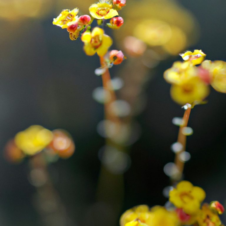 A Guide to Collaborative Poetry Writing Exercises - Poems Please