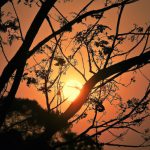 Using Photographs to Inspire Your Poetry – Poems Please